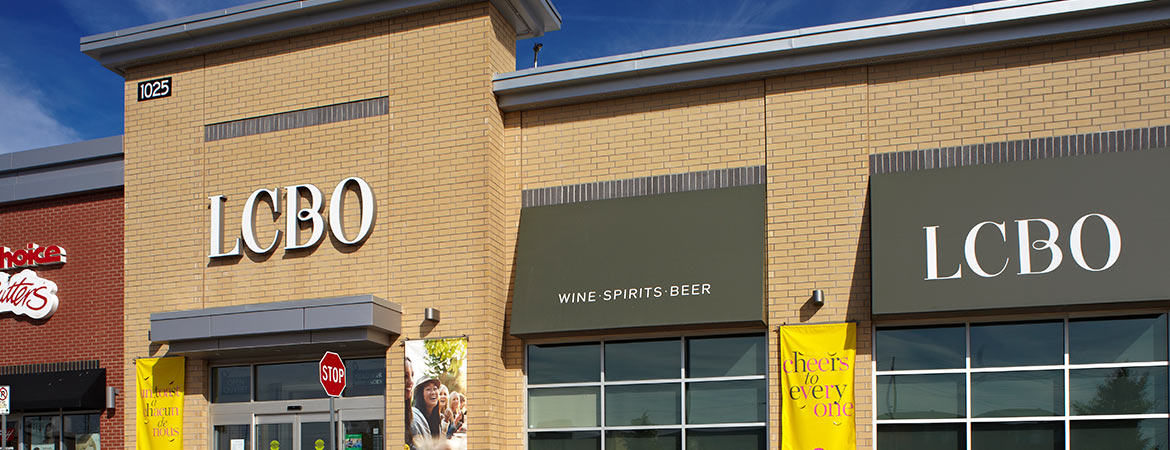 VGA Architecture : Bronte